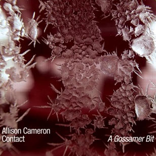 Sarah Fraser Raff - Violinist I Music Teacher I Model